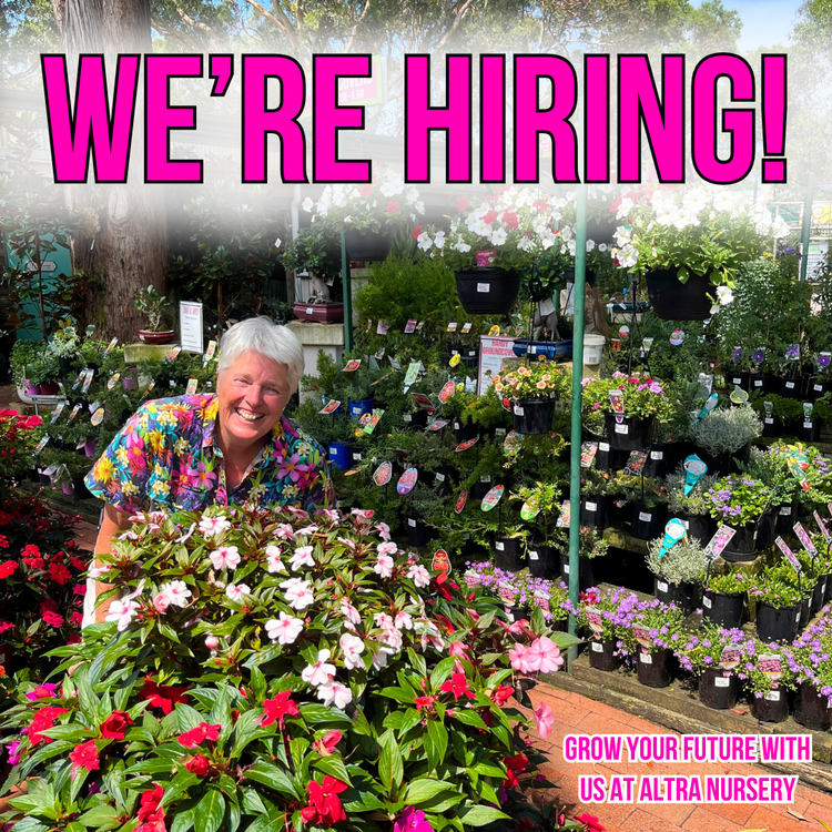 Work With Us – Altra Nursery
