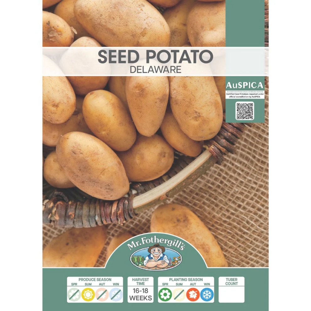 Seed Potato Delaware 500g – Altra Nursery