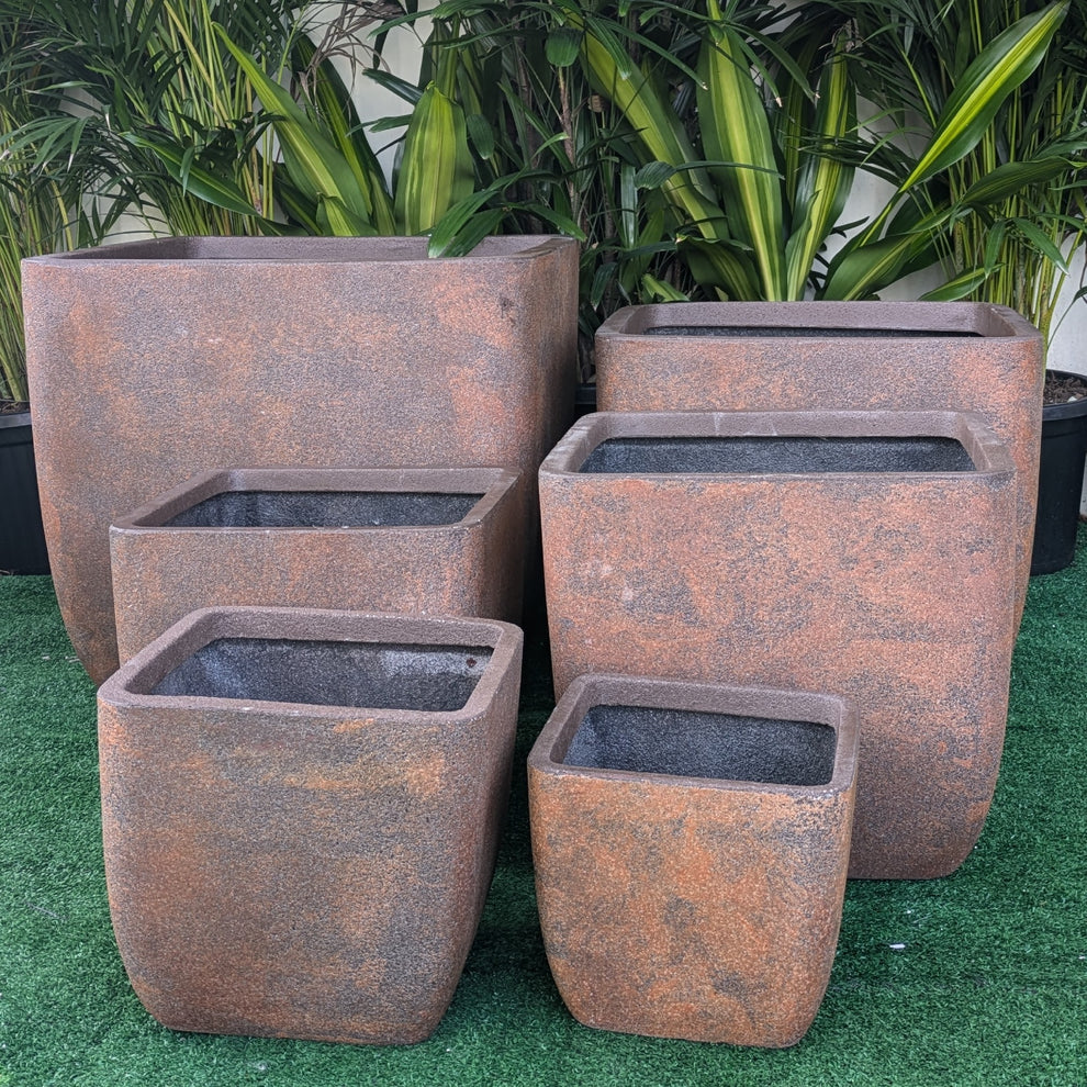 Prague Square – Altra Nursery